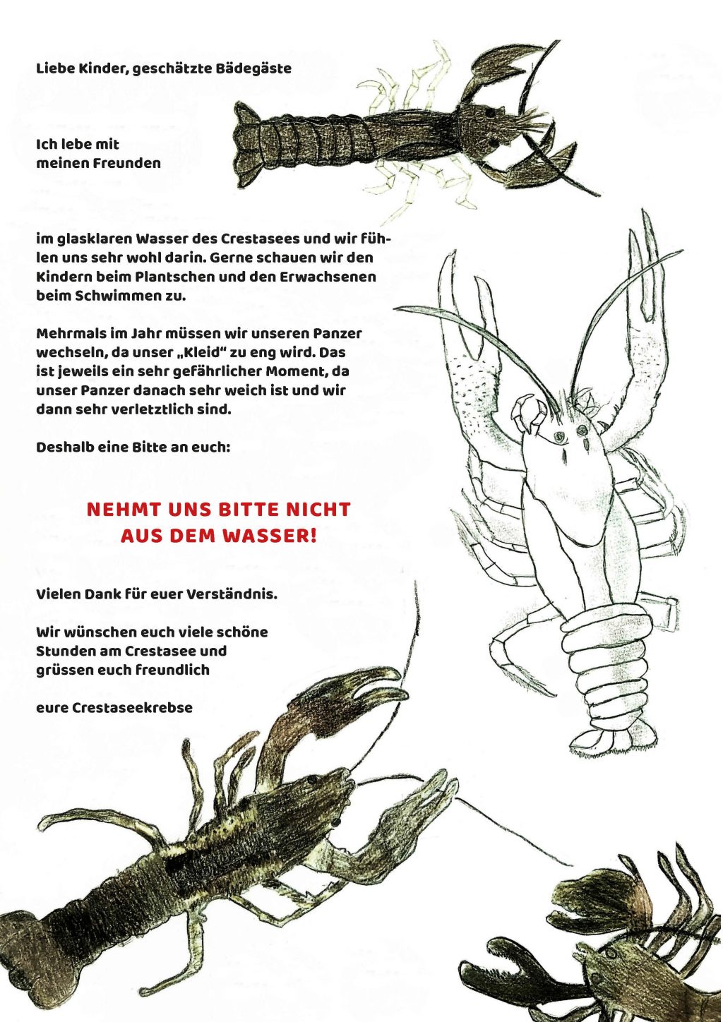 Gut zu Wissen | Crestasee°Naturbad